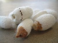 Quel insecte produit de la soie ? Ver à soie bombyx du mûrier