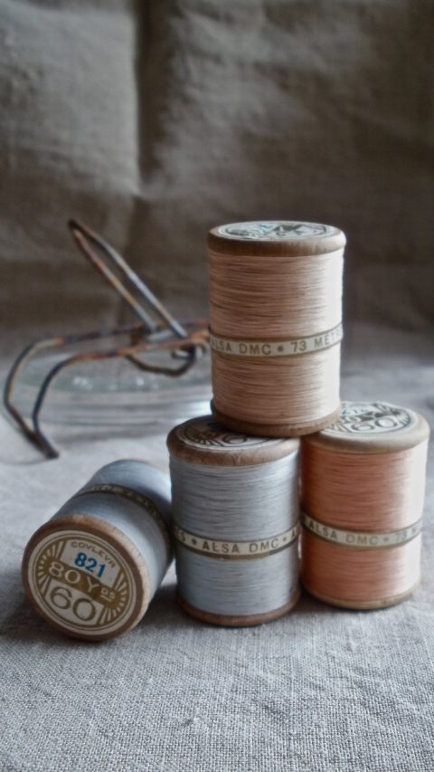 Coton | Tissu fibre textile