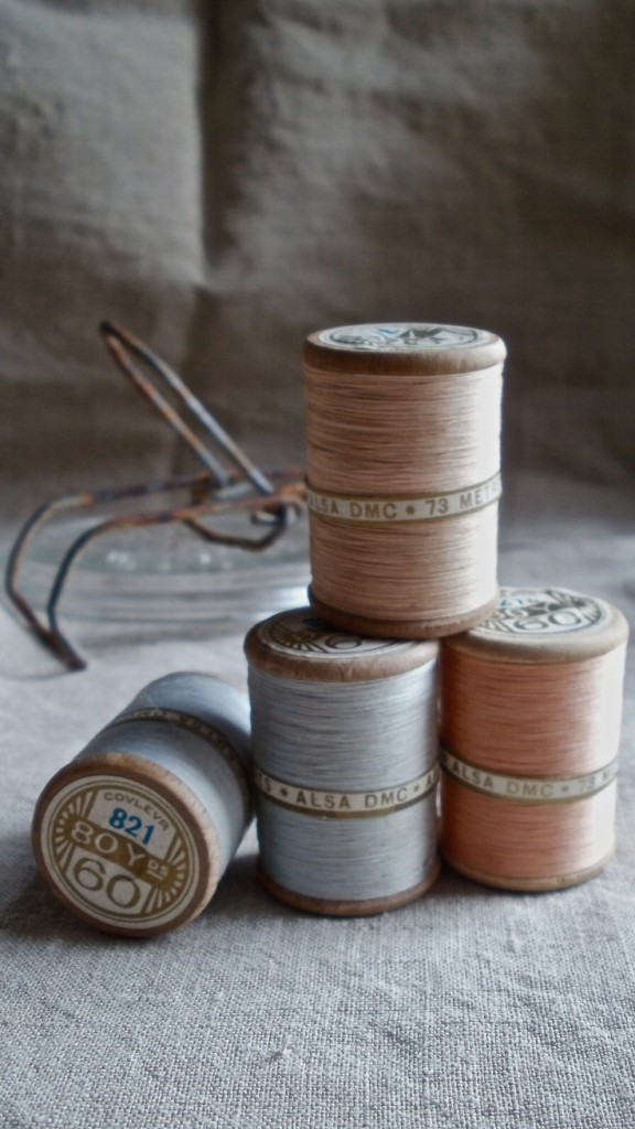 Coton | Tissu fibre textile